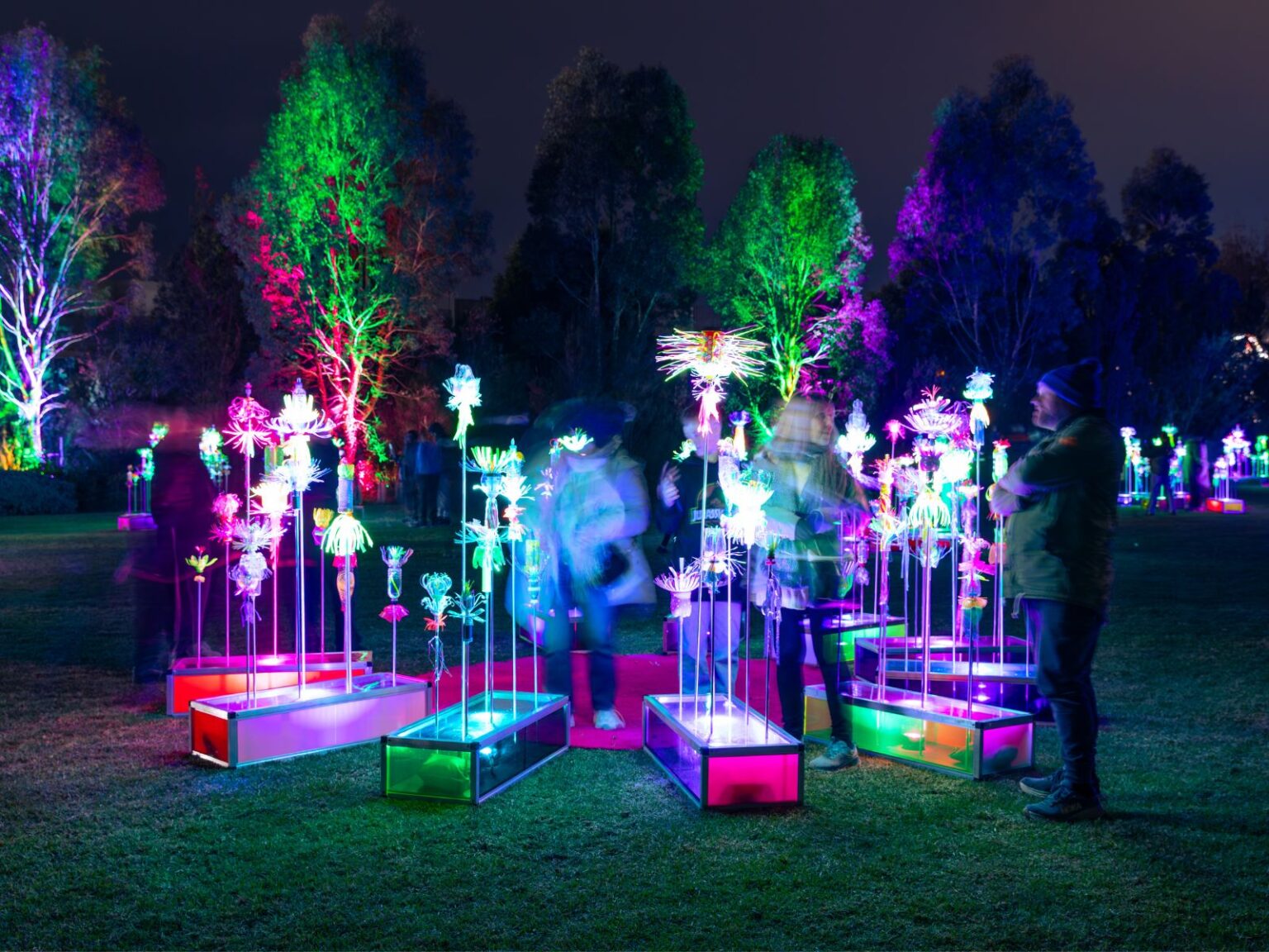 Home | Amazing Forbes NSW